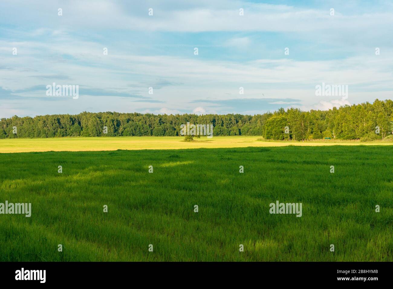 countryside rural scenery Stock Photo - Alamy
