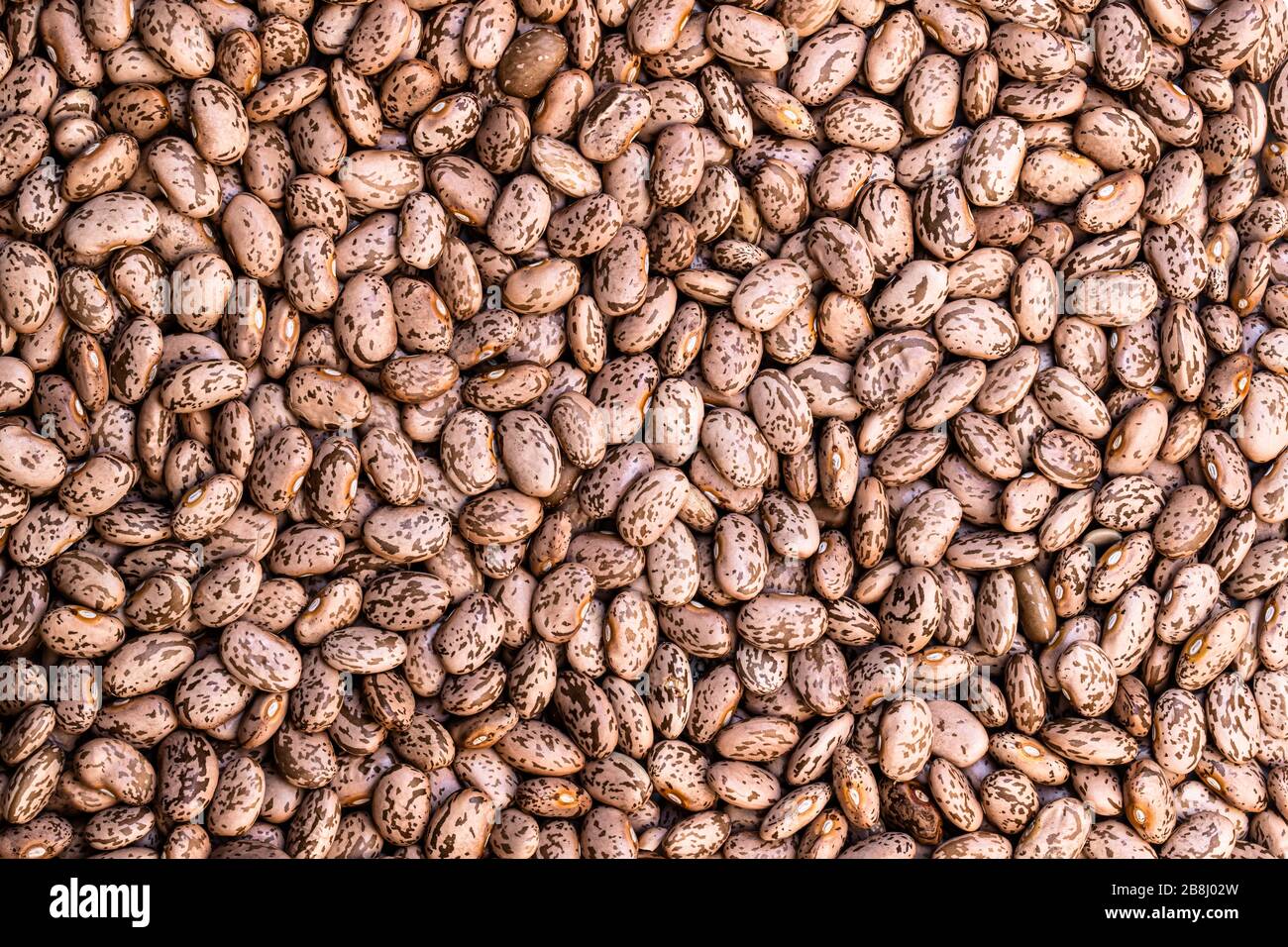 Pinto pattern hi-res stock photography and images - Alamy