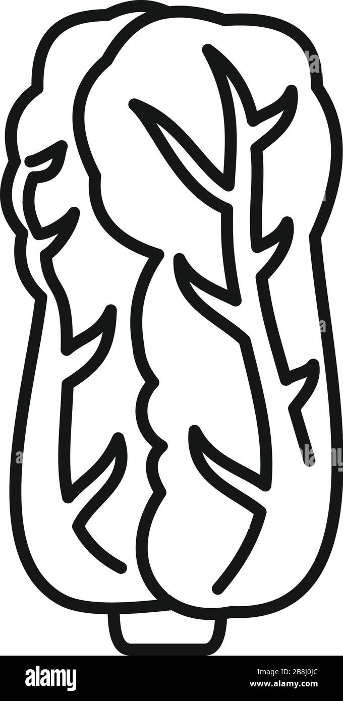 Chinese cabbage icon. Outline chinese cabbage vector icon for web ...