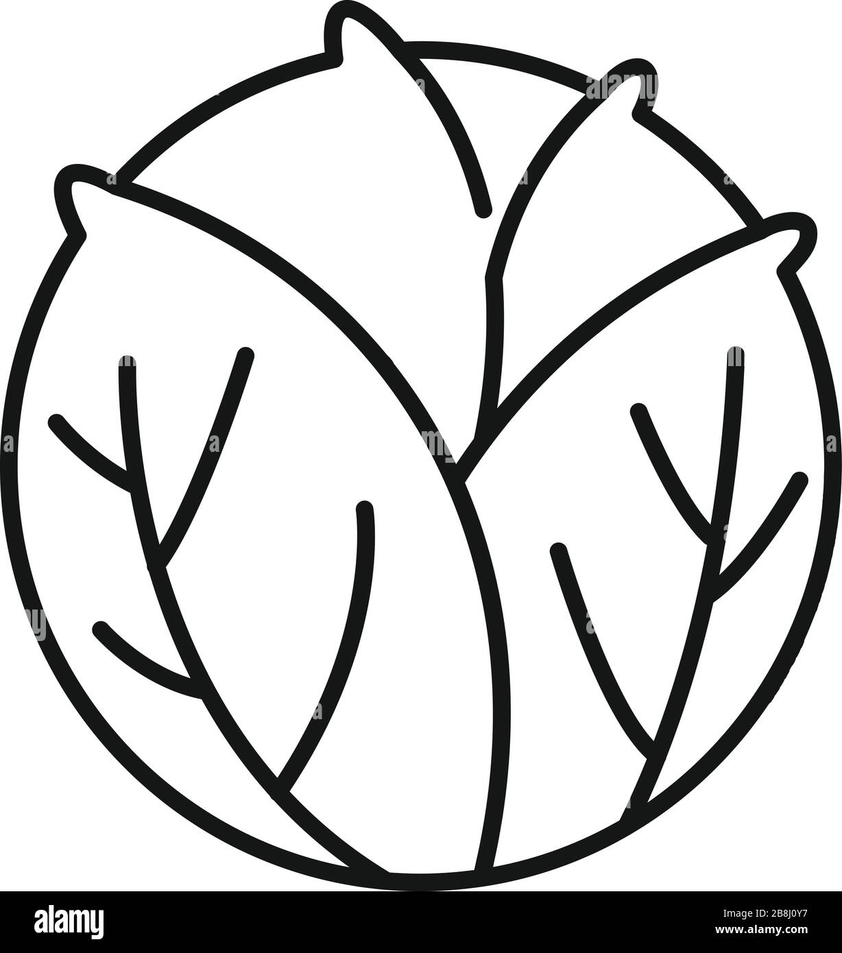 Cooking cabbage icon. Outline cooking cabbage vector icon for web ...