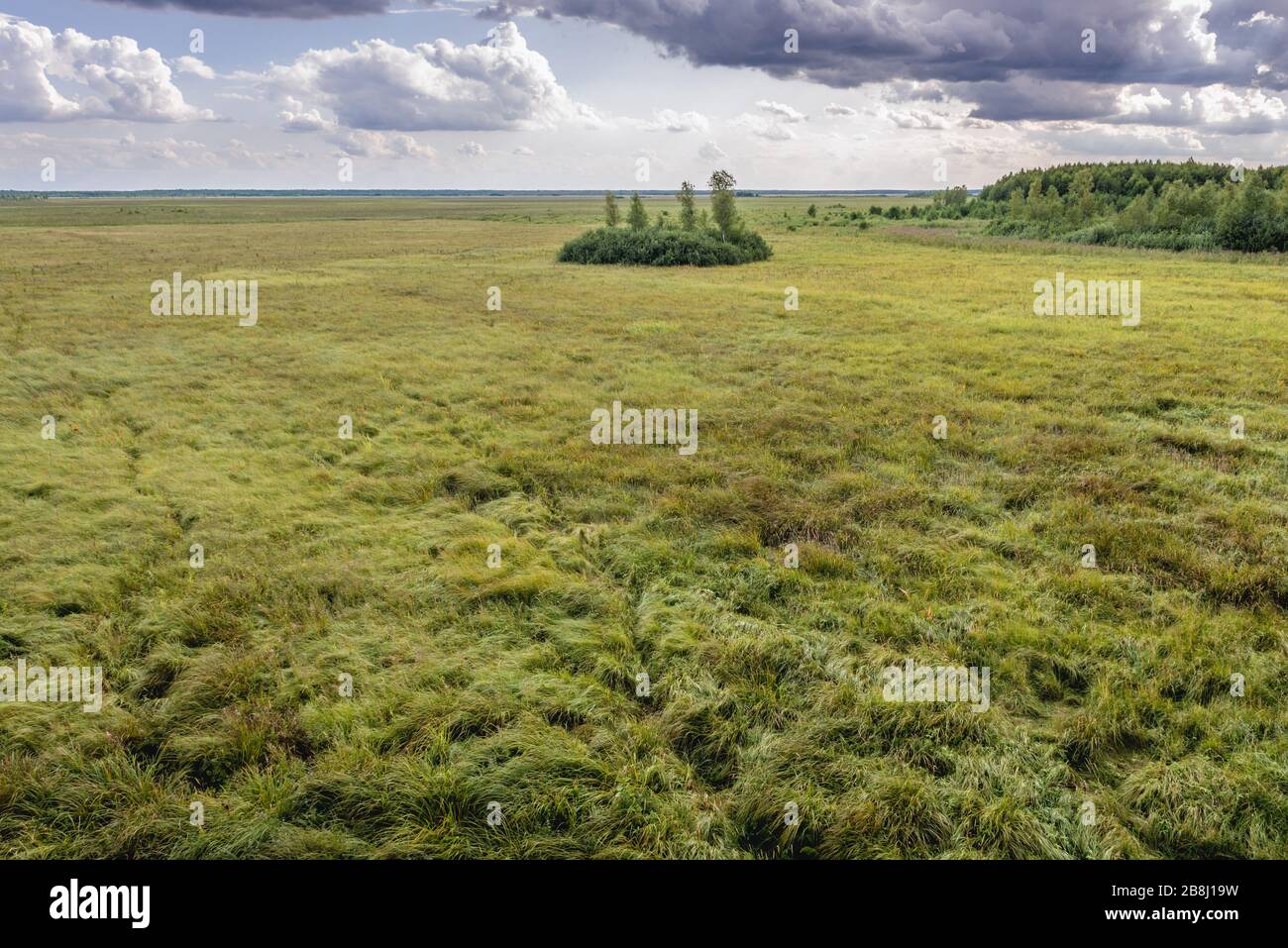 Lawki swamp hi-res stock photography and images - Alamy