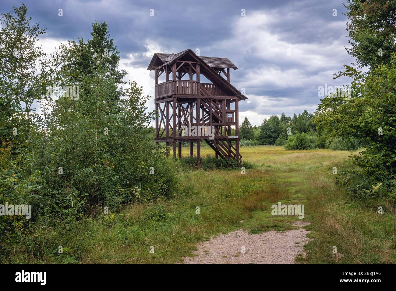 Viewing platform on so called Lawki Swamp in Biebrza National Park in ...