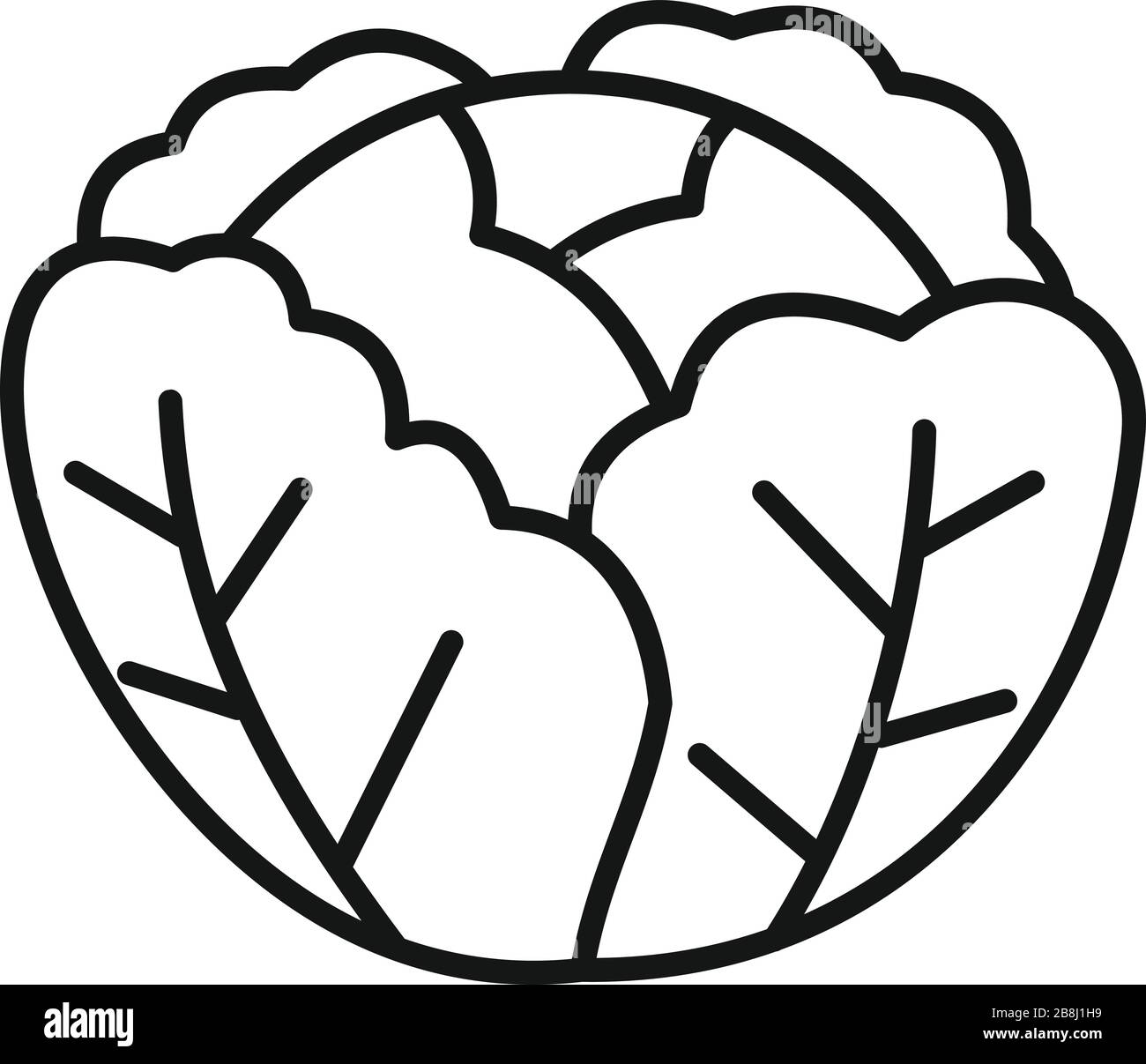 Cabbage icon. Outline cabbage vector icon for web design isolated on ...