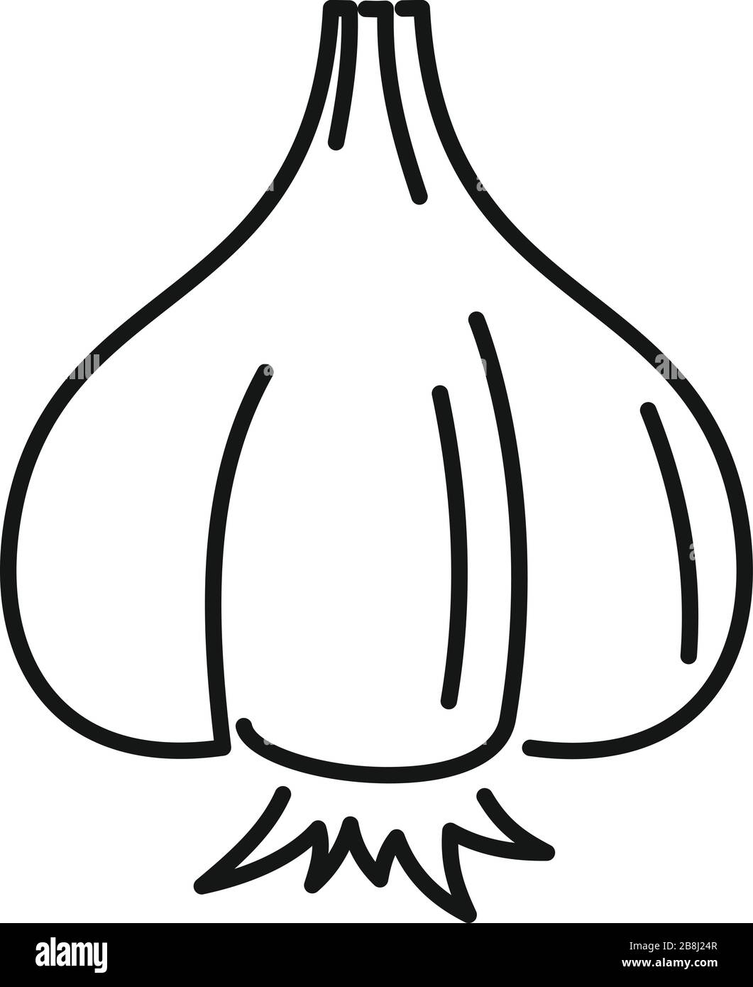 Fresh garlic icon. Outline fresh garlic vector icon for web design isolated on white background ...