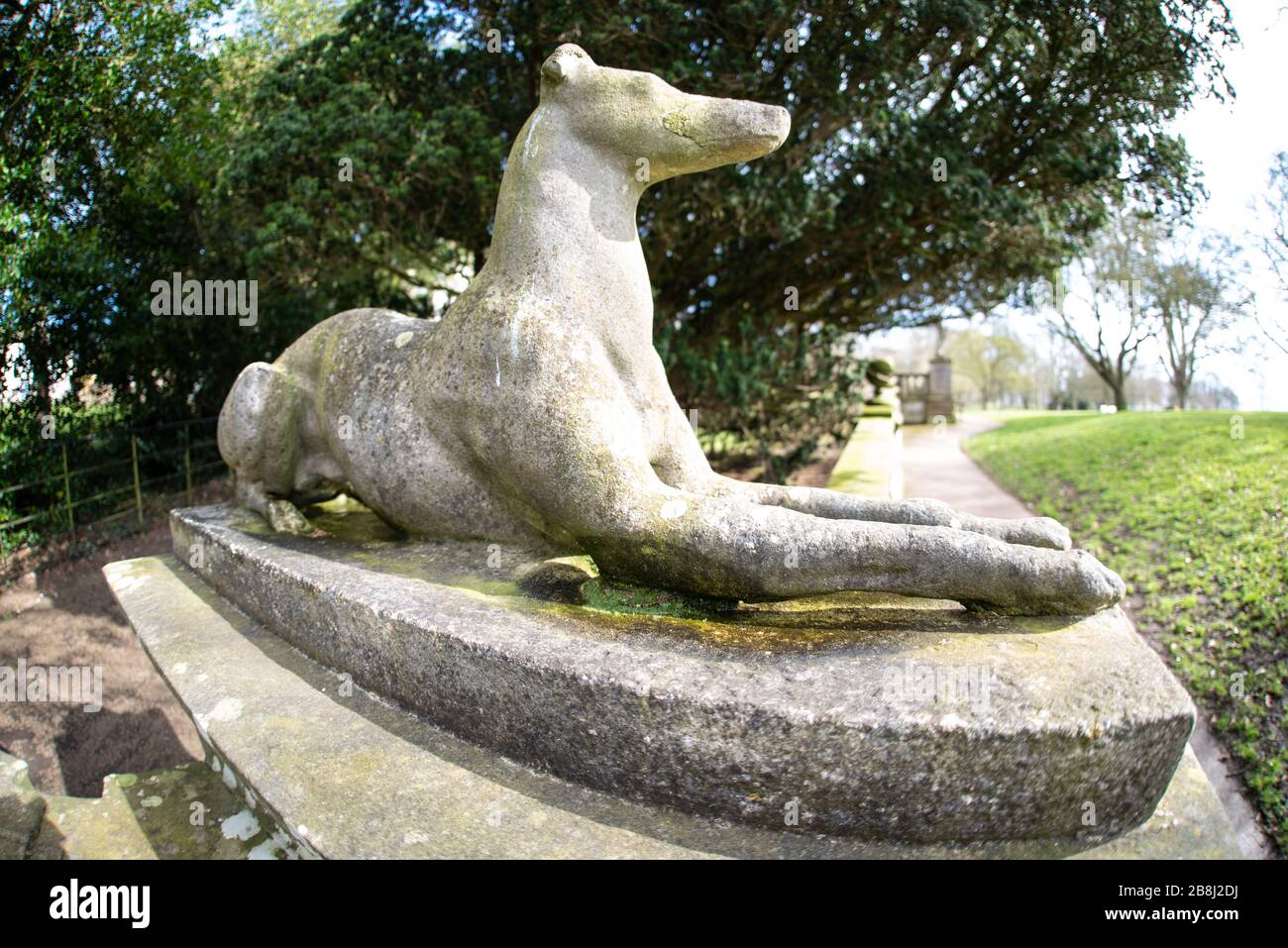 Stone dog statue hi-res stock photography and images - Alamy