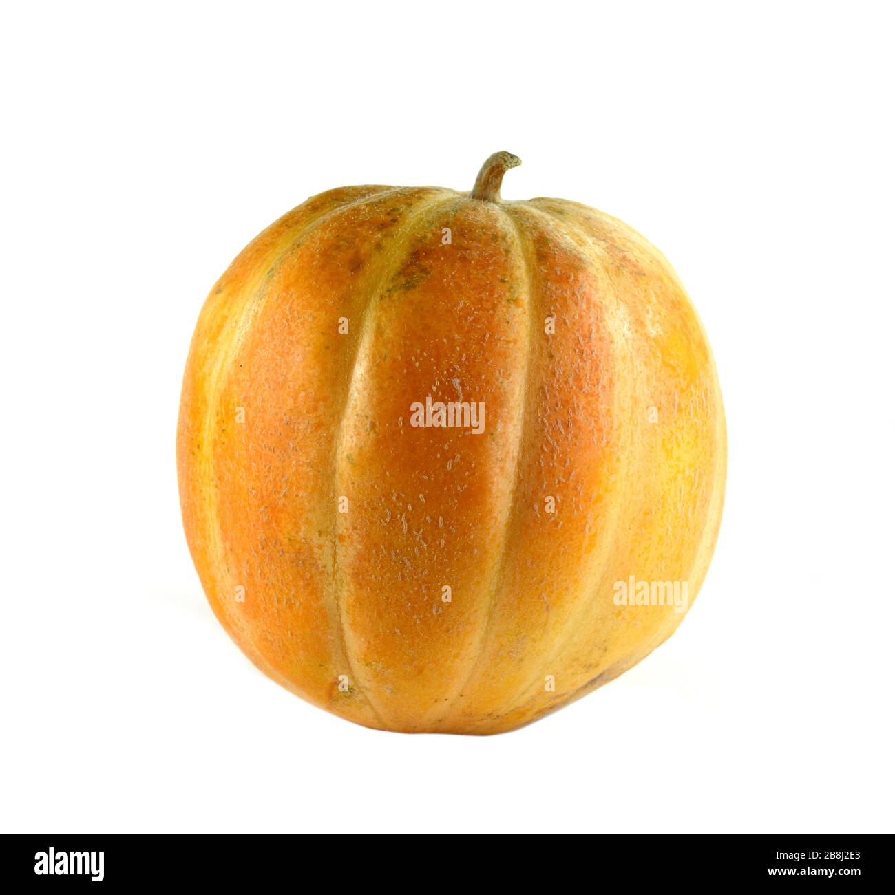 Single melon isolated on white Stock Photo - Alamy