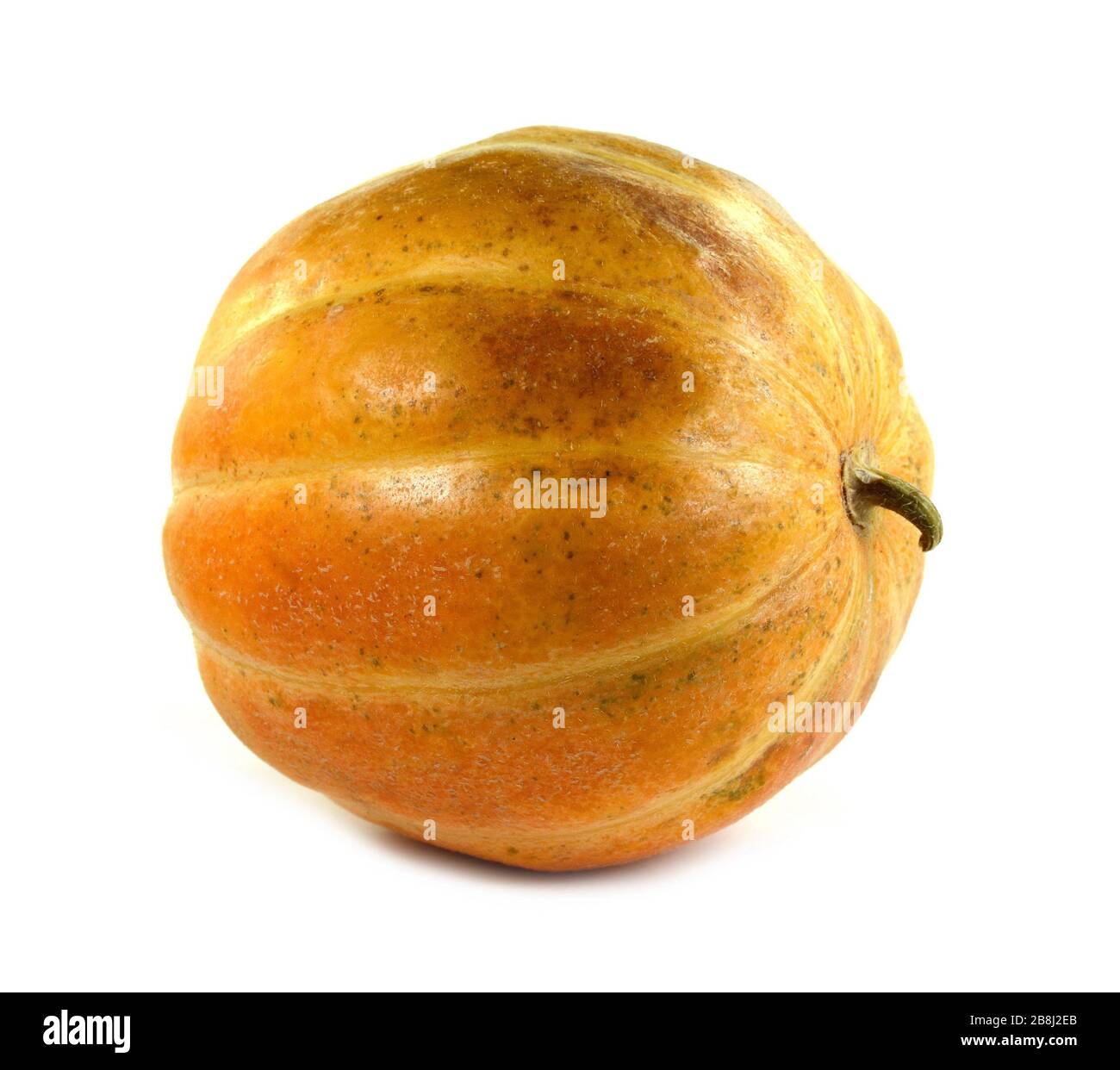 Single melon isolated on white Stock Photo - Alamy