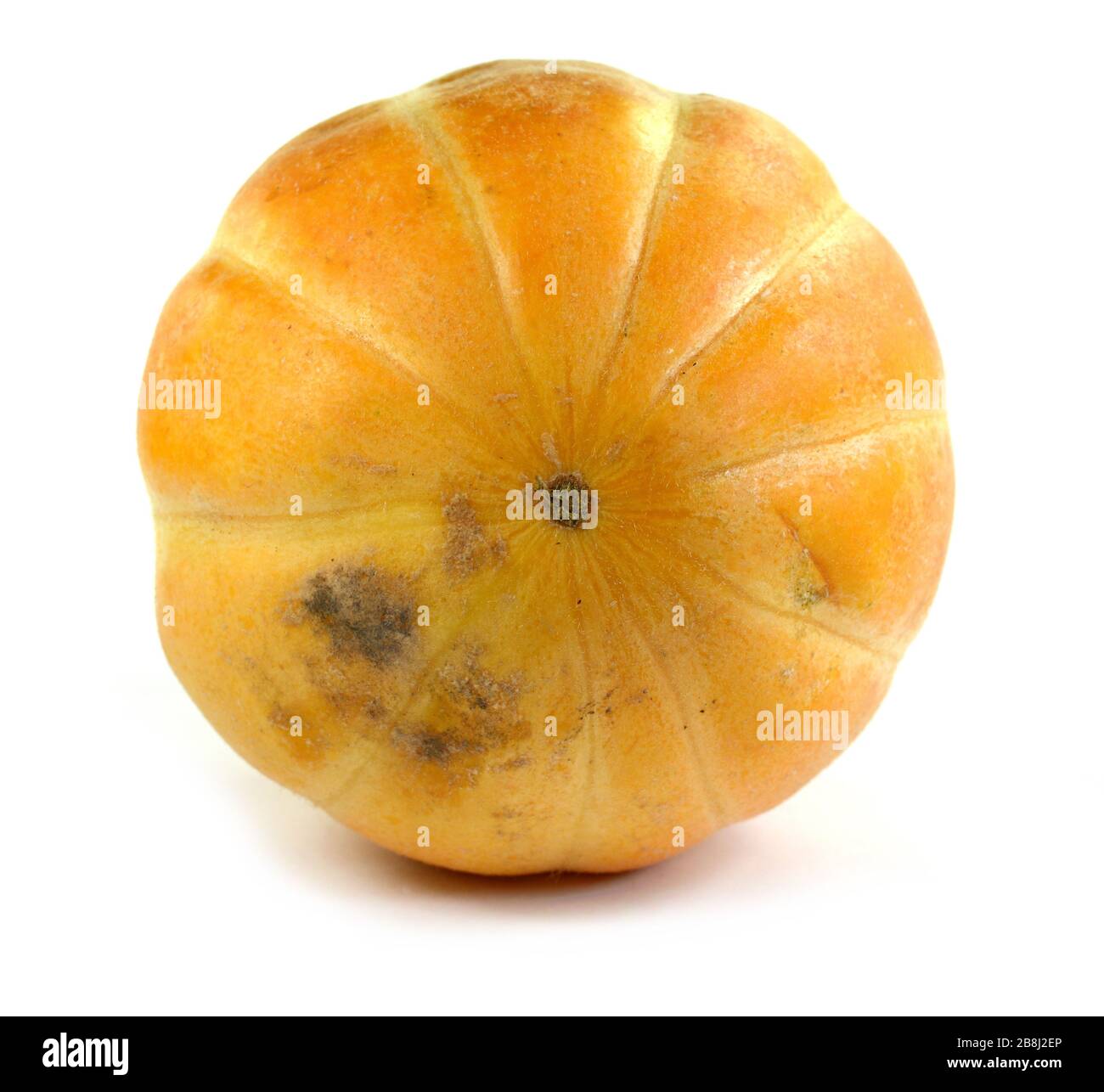 Single melon isolated on white Stock Photo - Alamy