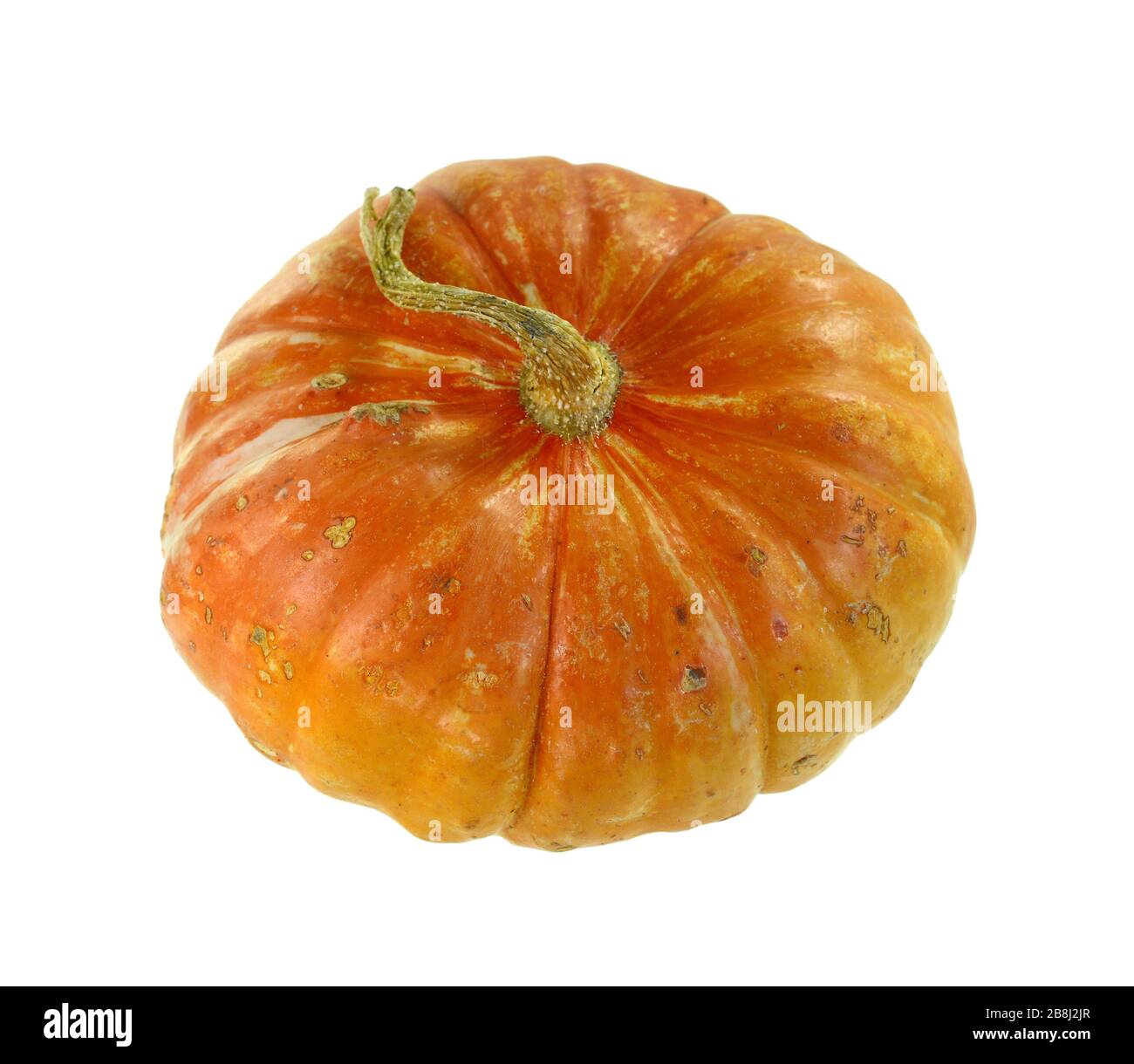 Single melon isolated on white Stock Photo - Alamy