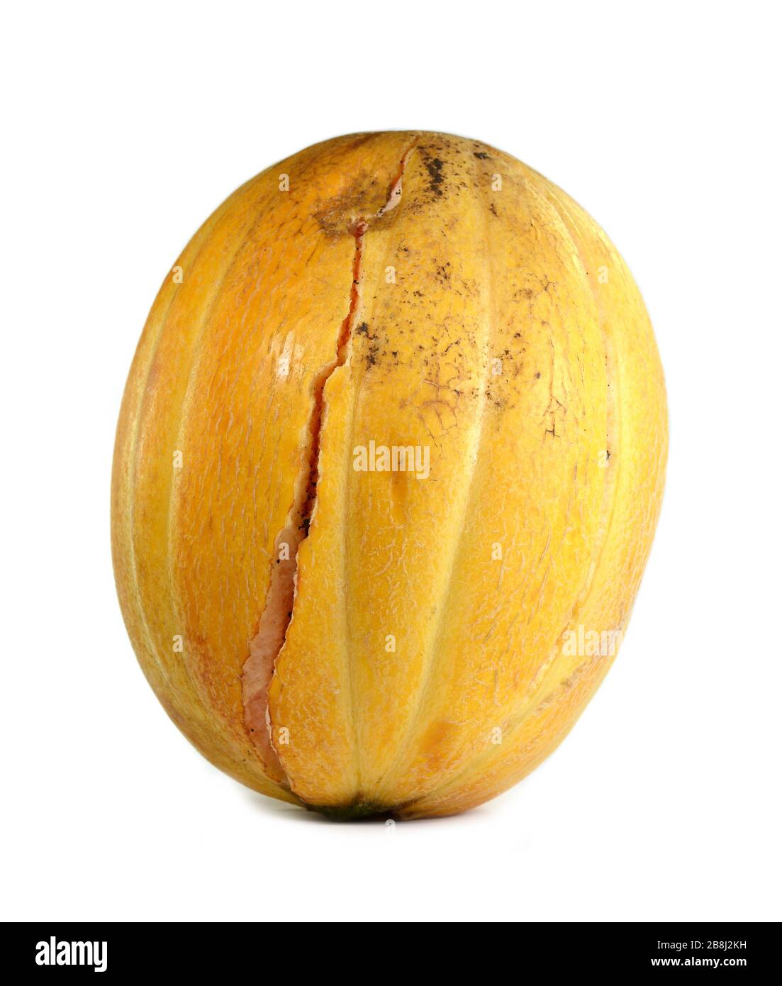 Single melon isolated on white Stock Photo - Alamy