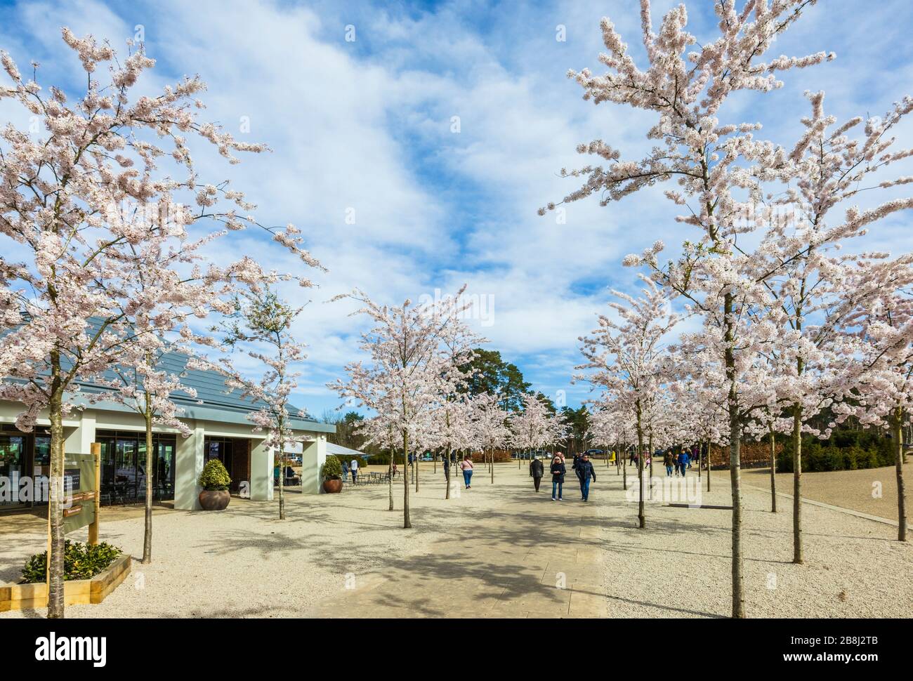 Rhs garden wisley visitor centre hi-res stock photography and images ...