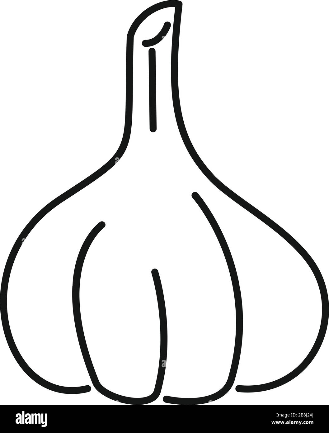 Nature garlic icon. Outline nature garlic vector icon for web design ...