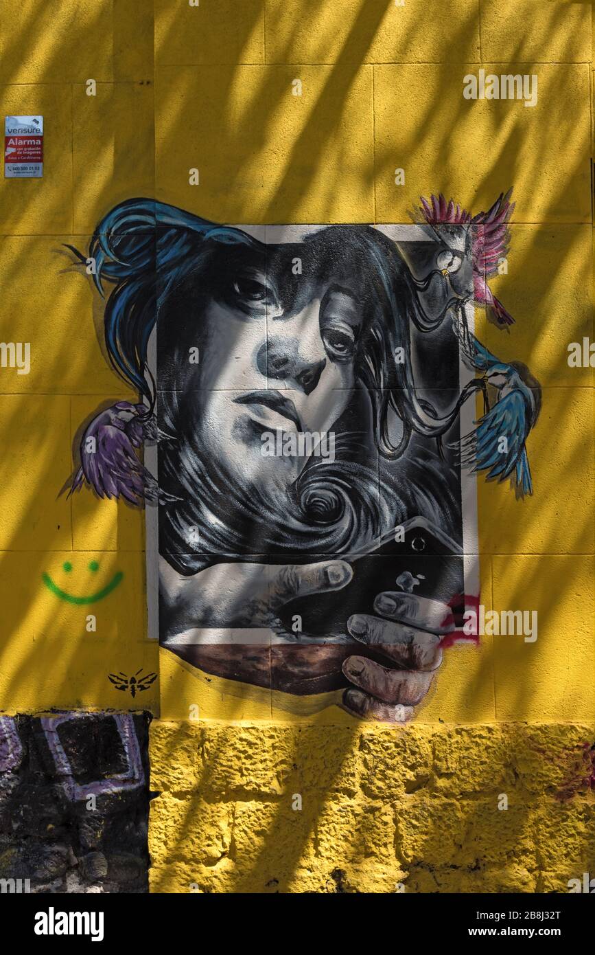 Street art mural, graffiti in the capital of Chile, Santiago Stock ...