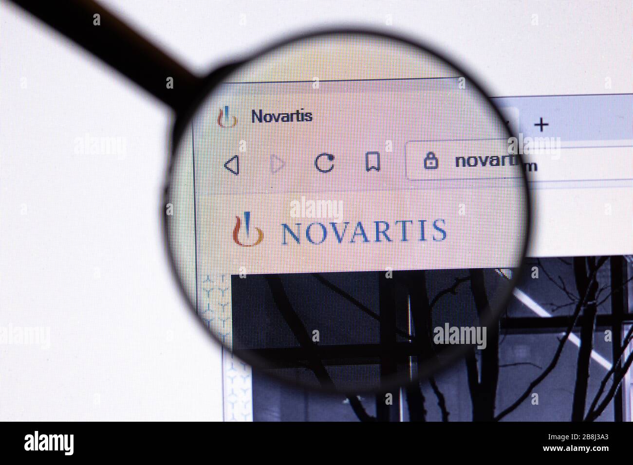 Los Angeles, California, USA - 20 March 2020: Novartis company logo on ...