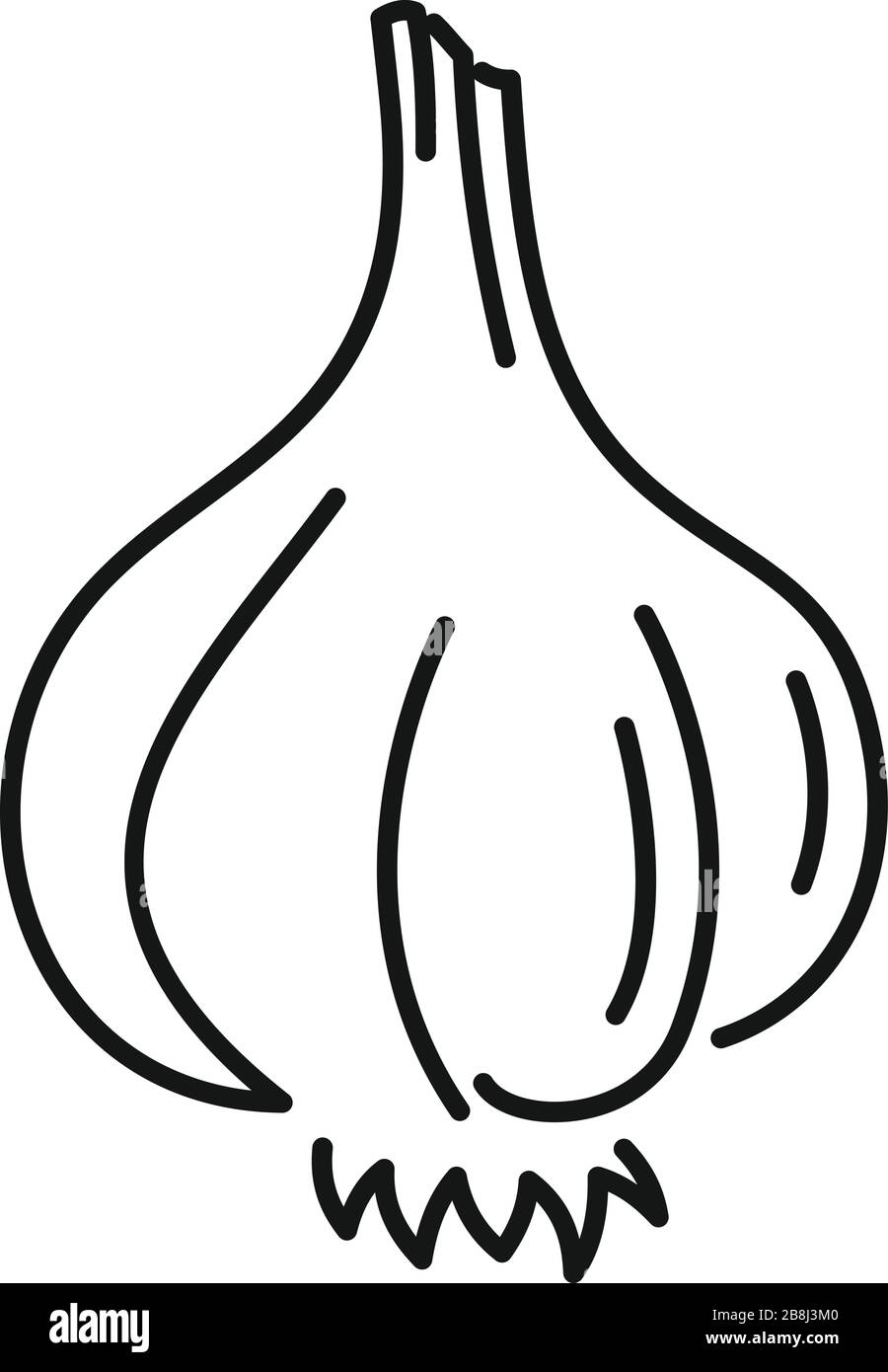 Garlic Outline
