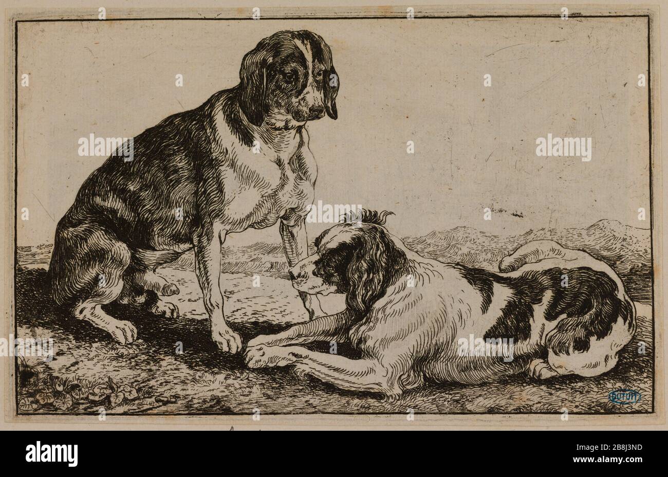 Chiens de repos hi-res stock photography and images - Alamy