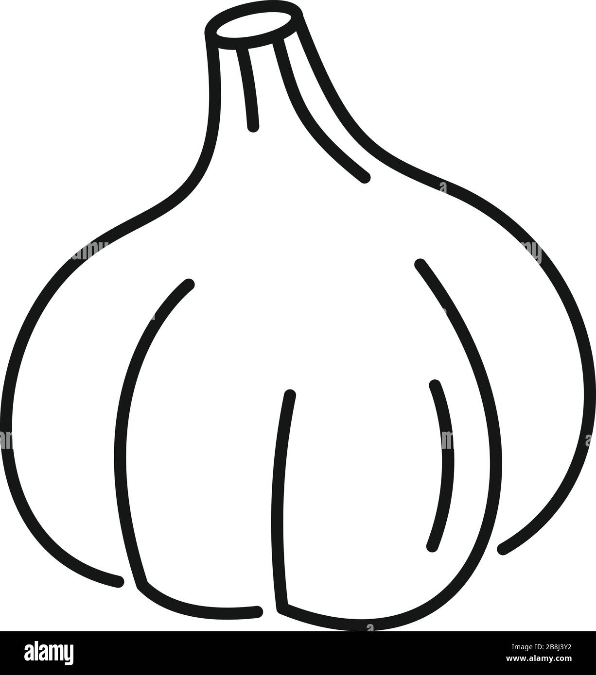Organic garlic icon. Outline organic garlic vector icon for web design ...