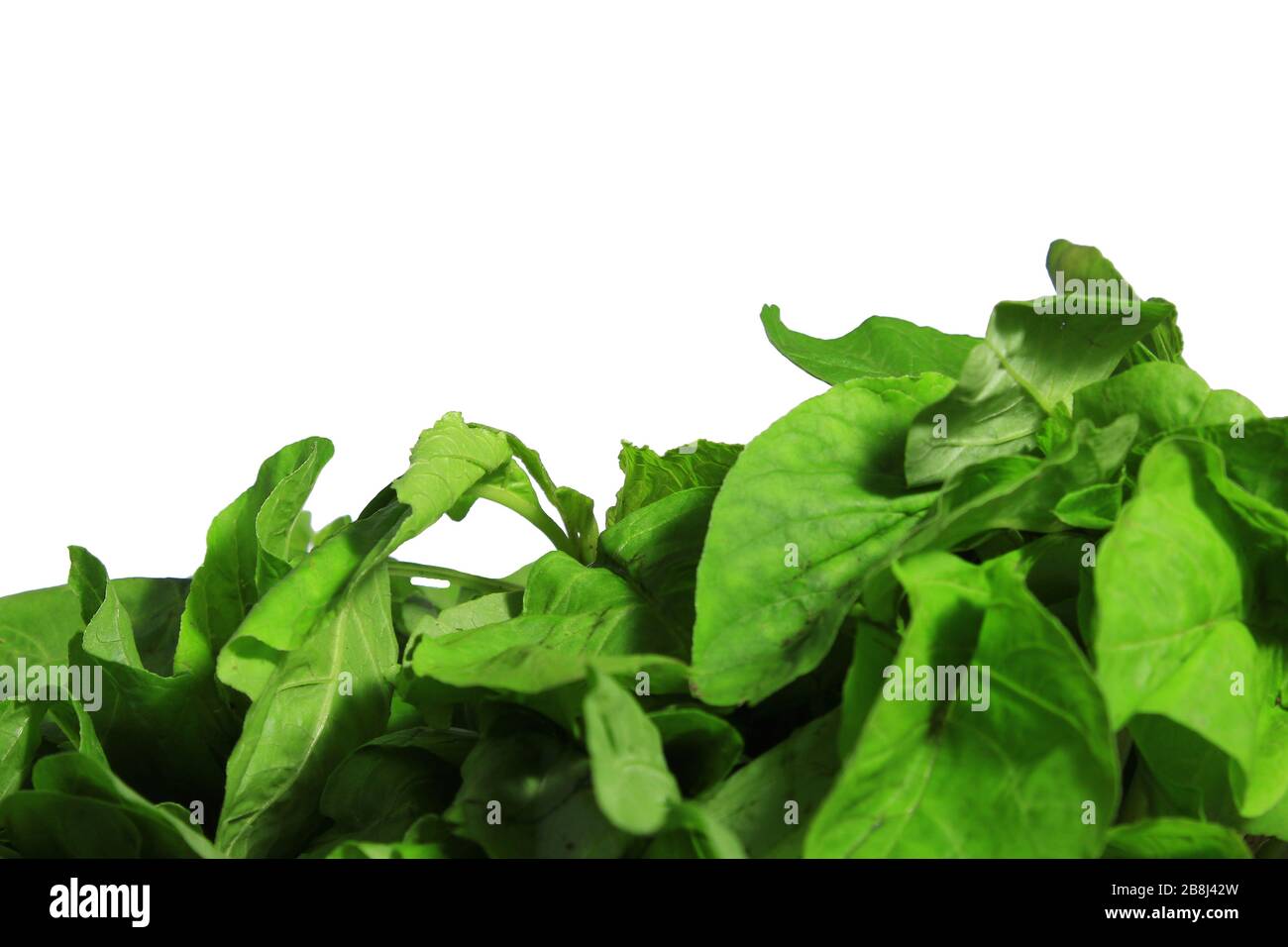 Spinach Isolated On White Background Stock Photo - Alamy