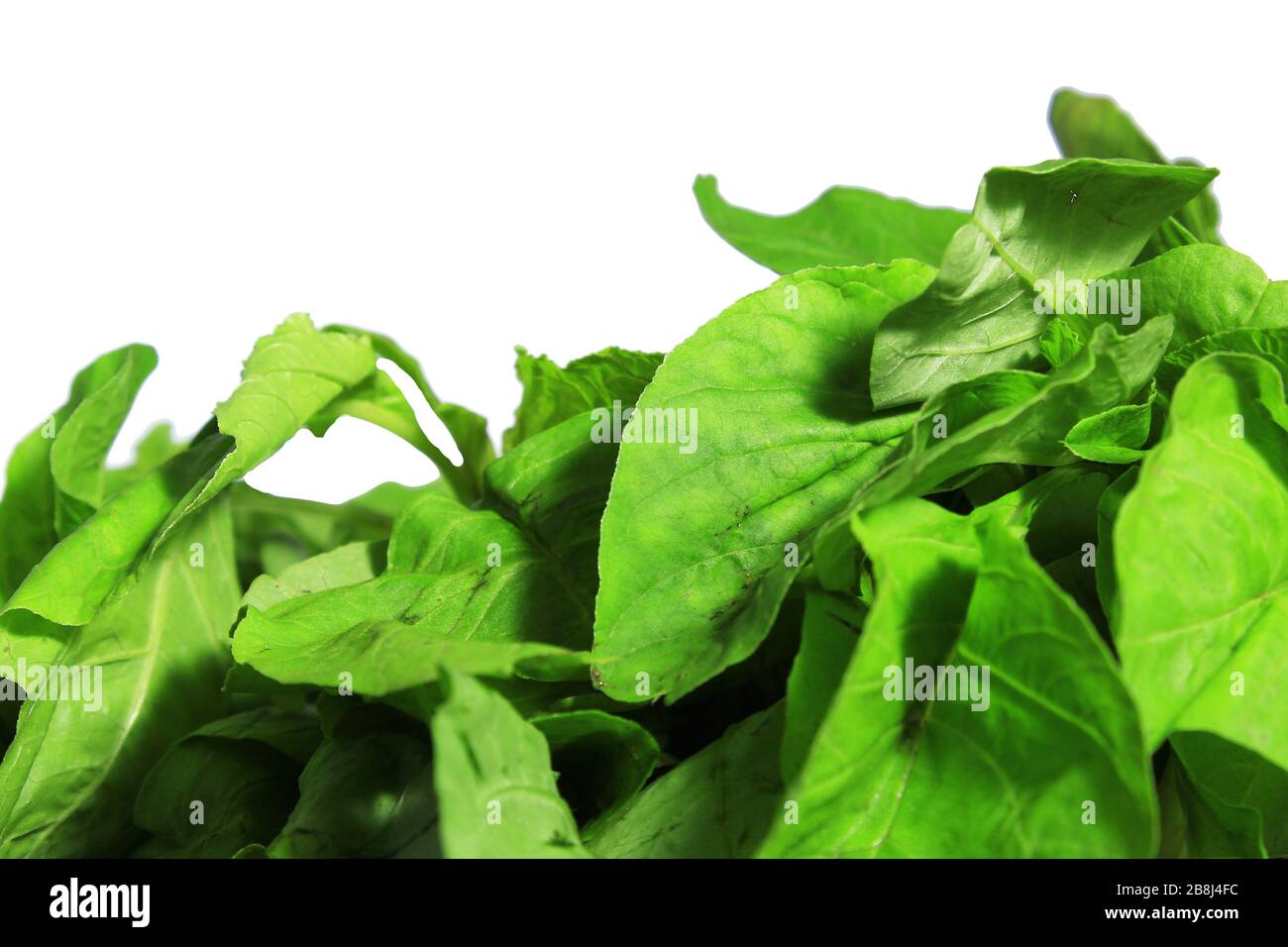 Spinach Isolated On White Background Stock Photo - Alamy