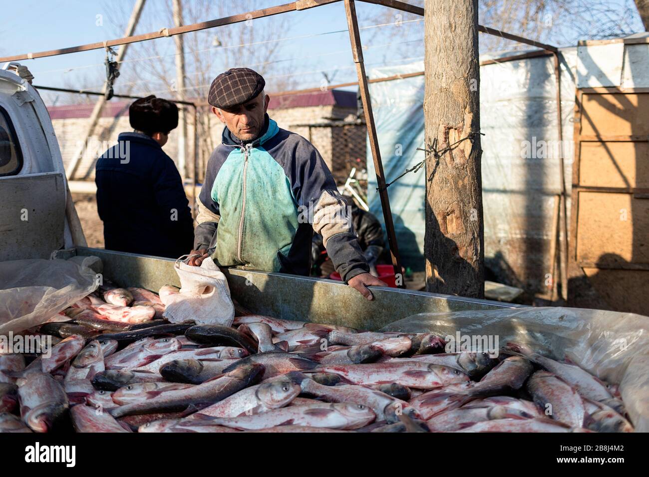 Scene on the fish market at the Street Market, Khiva, Uzbekistan Stock ...