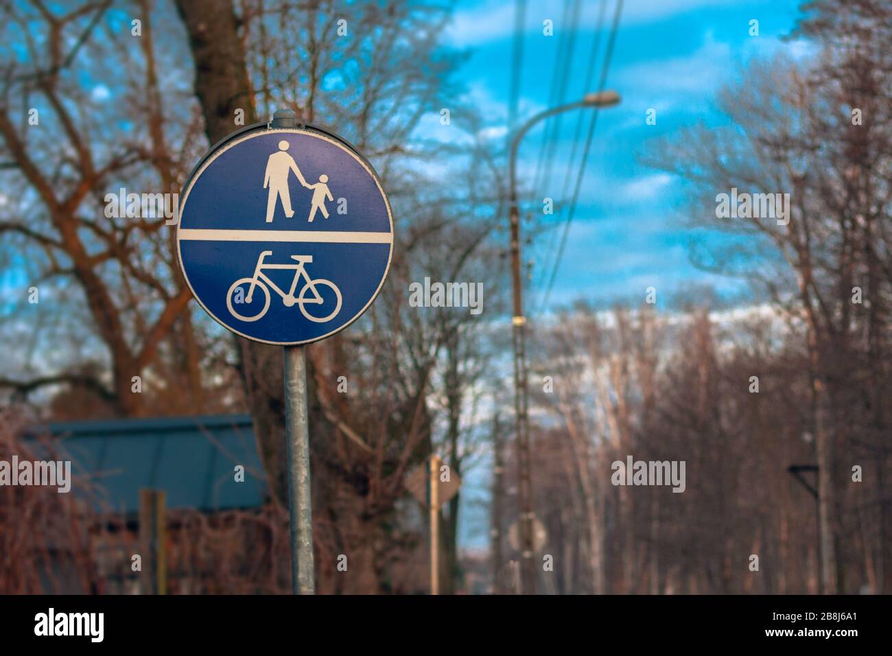 Signs ans signals for cyclists and pedestrians. Blue road signs on ...