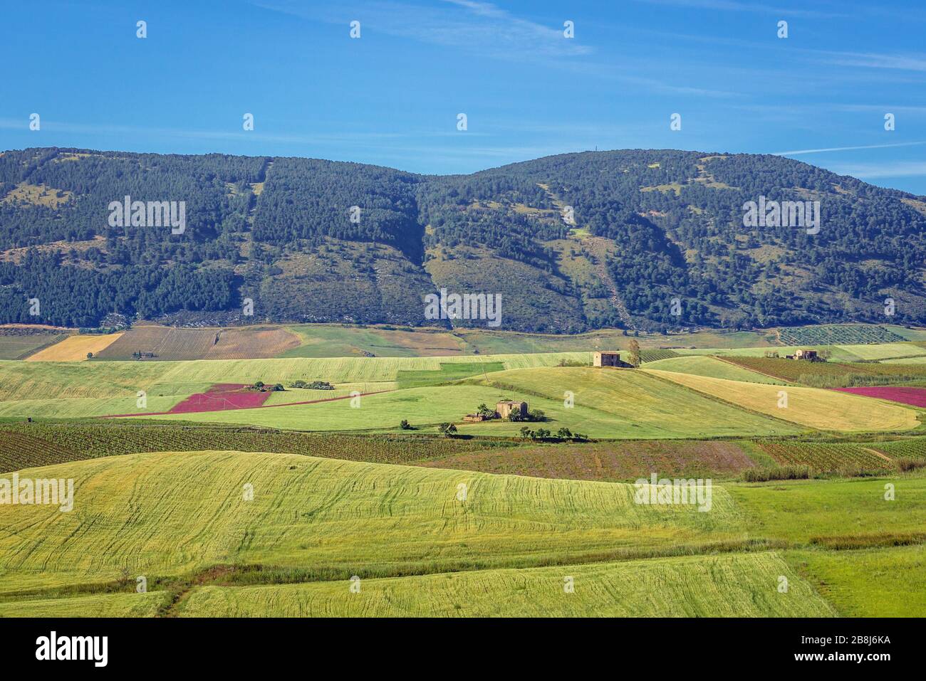 Fields and vineyards in rural area of Province of Trapani on Sicily ...