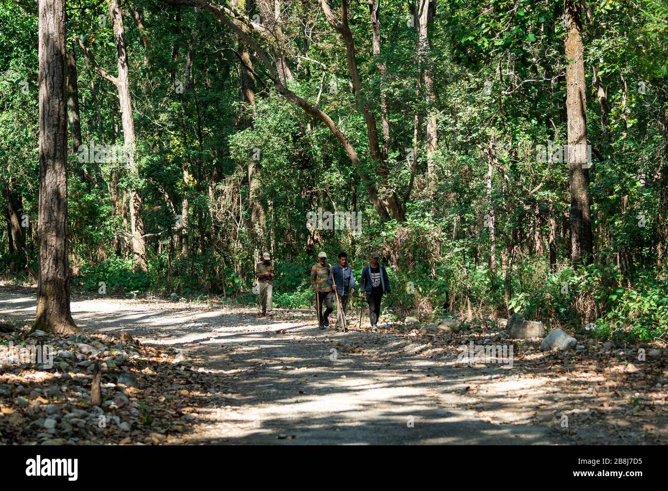 Forest guards or foot soldiers with stick in hands on duty walking and ...