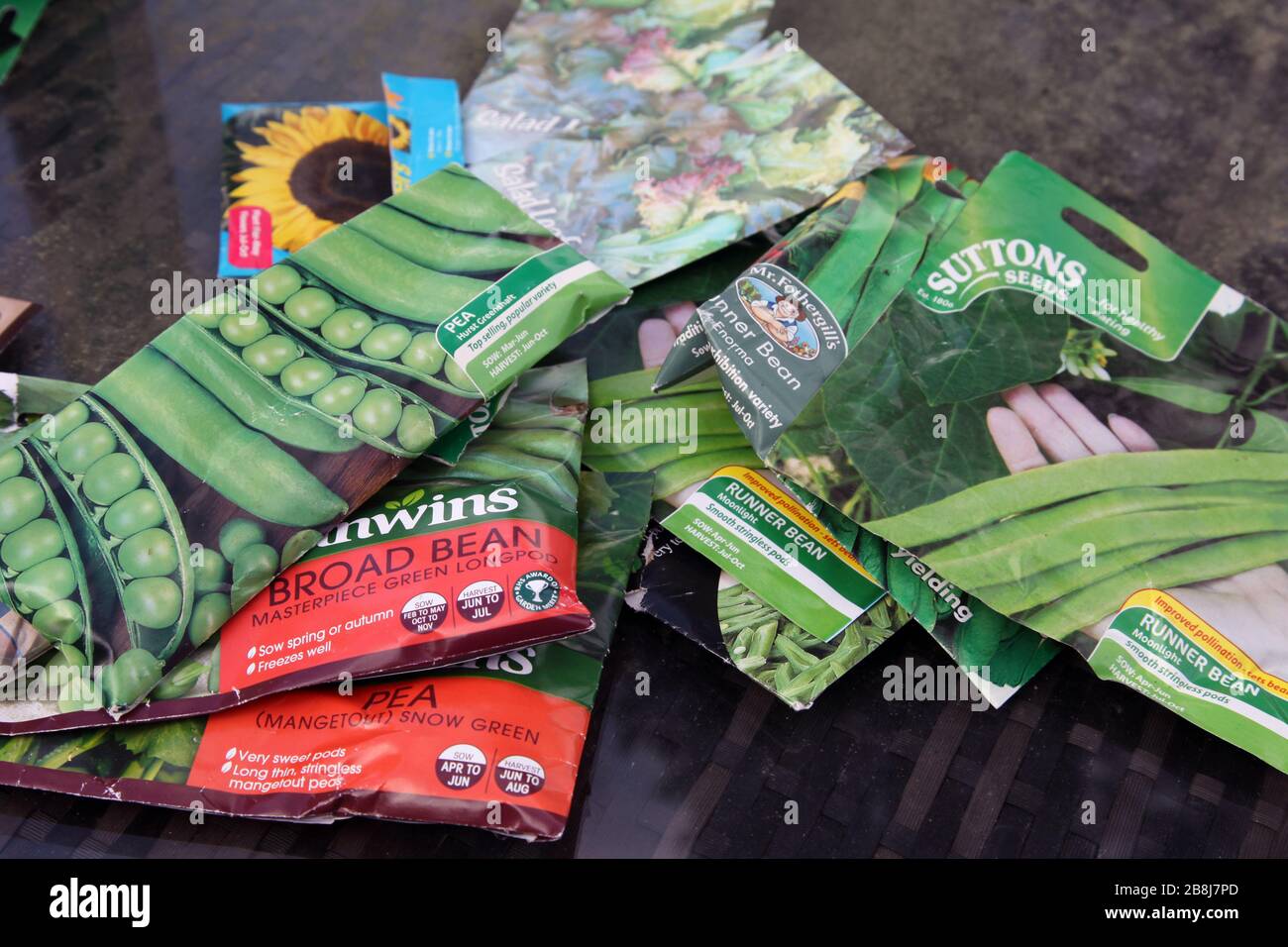 Various seed packets open hi-res stock photography and images - Alamy