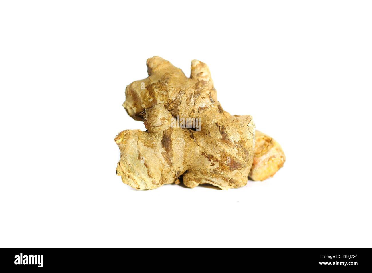 Fresh ginger root rhizome isolated on white background Stock Photo - Alamy