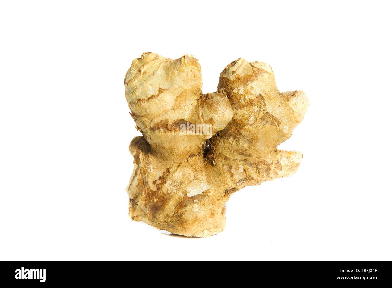 Fresh ginger root rhizome isolated on white background Stock Photo - Alamy