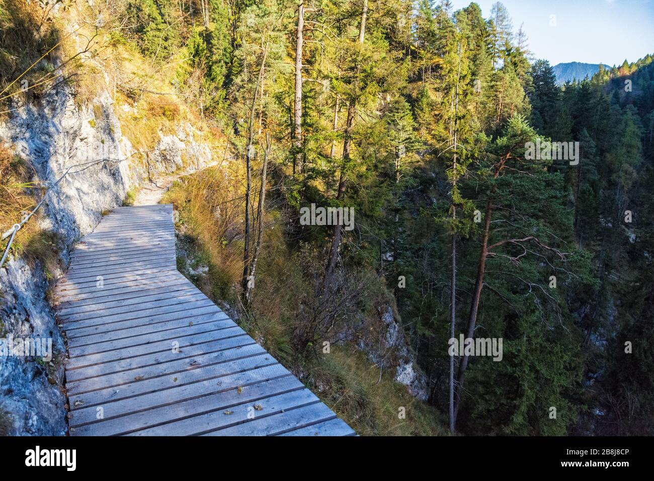 The Almbachklamm in the Bavarian Alps Stock Photo - Alamy