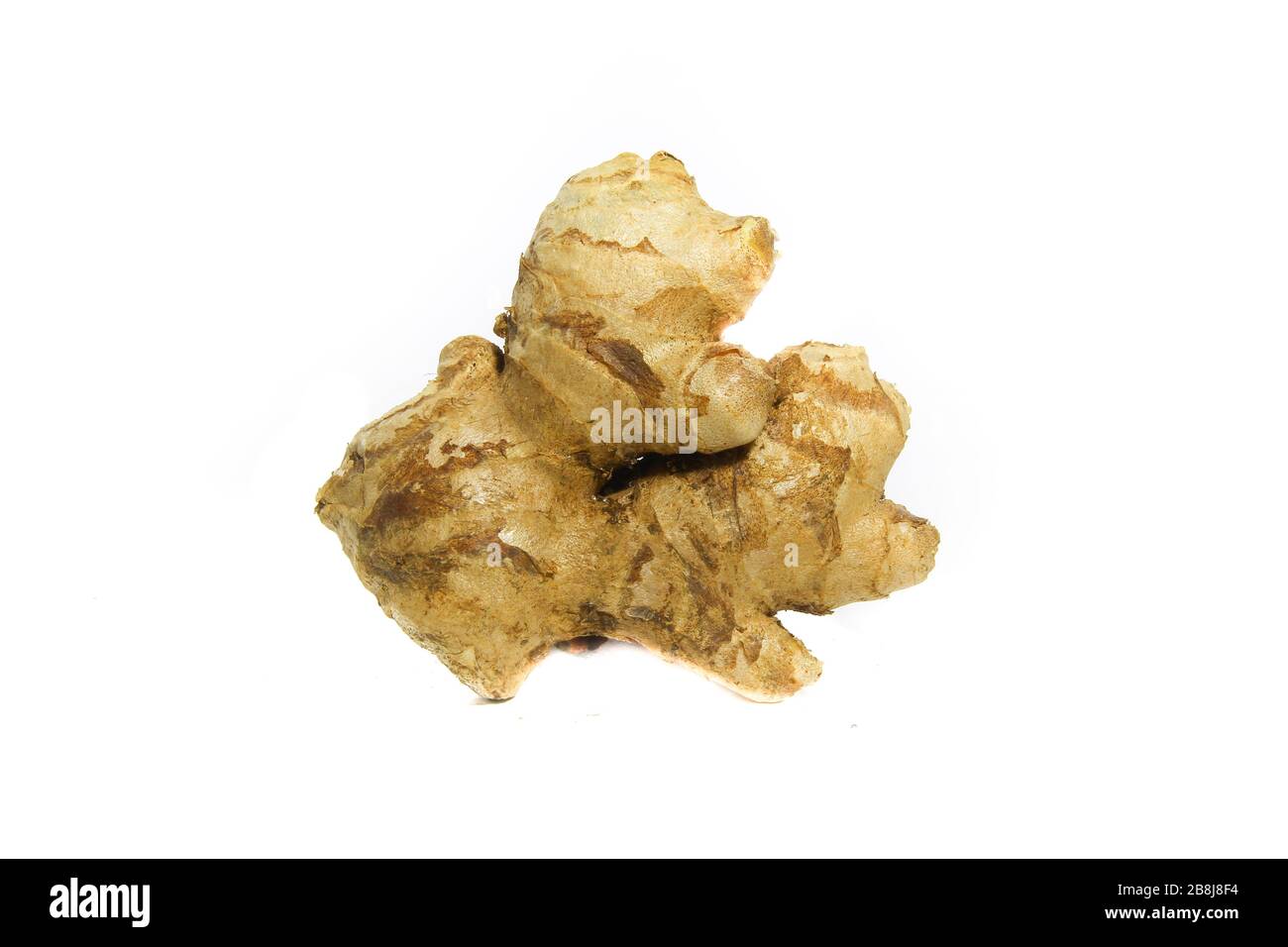 Fresh ginger root rhizome isolated on white background Stock Photo - Alamy