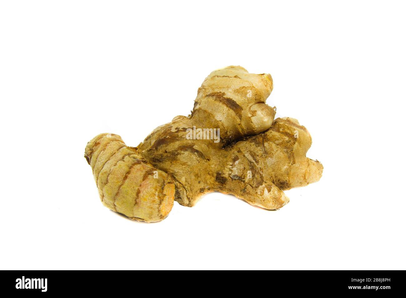 Fresh ginger root rhizome isolated on white background Stock Photo - Alamy