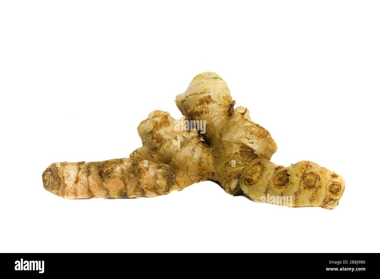 Fresh ginger root rhizome isolated on white background Stock Photo - Alamy