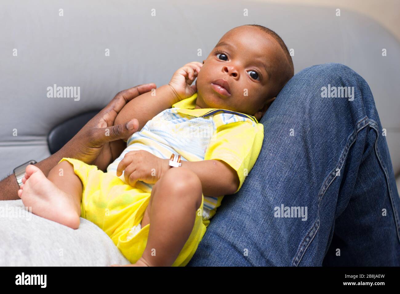 newborn baby lying on his father's legs in the couch at home watching ...