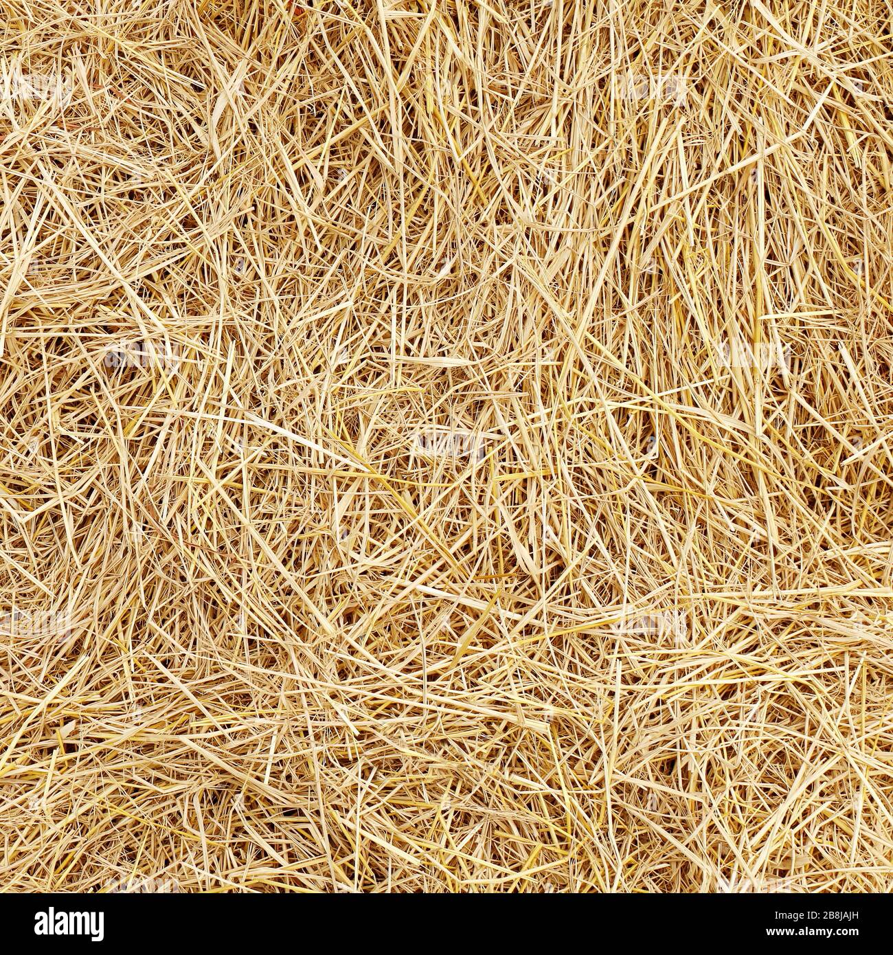 straw, dry straw, hay straw yellow background texture Stock Photo - Alamy