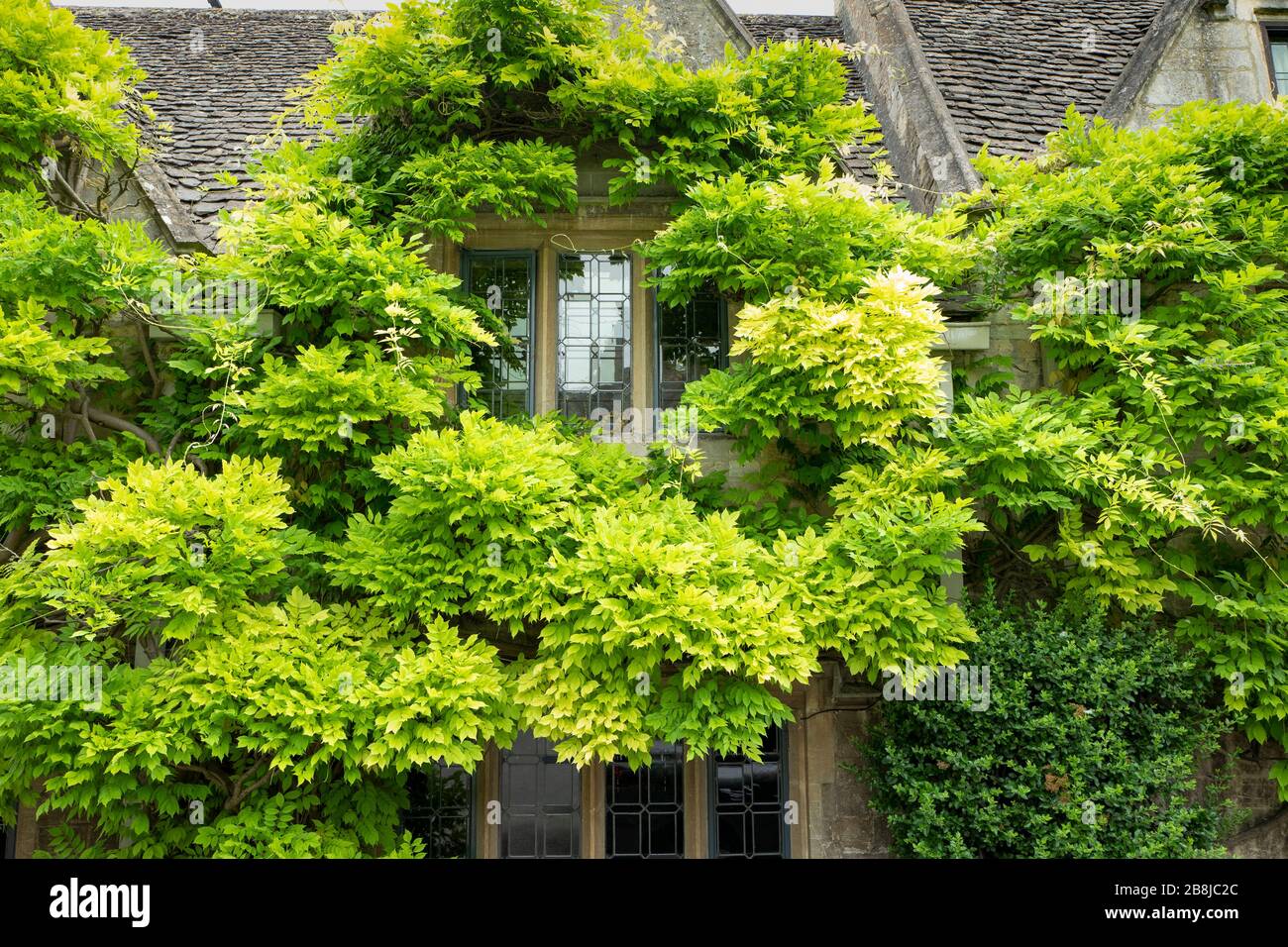 The Bay Tree Hotel Burford Oxfordshire Stock Photo - Alamy