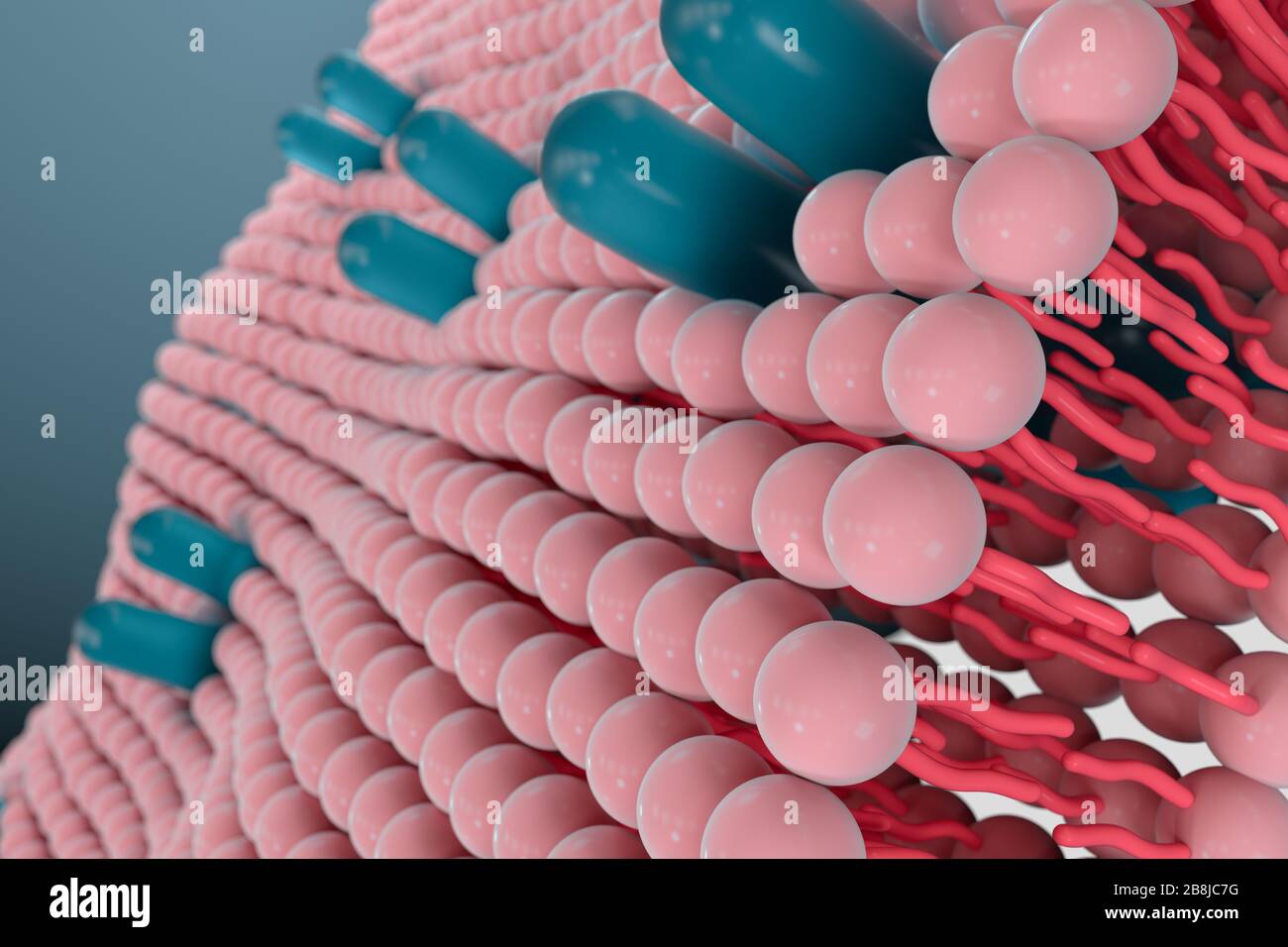 Cell membrane and biology, biological concept, 3d rendering. Computer ...