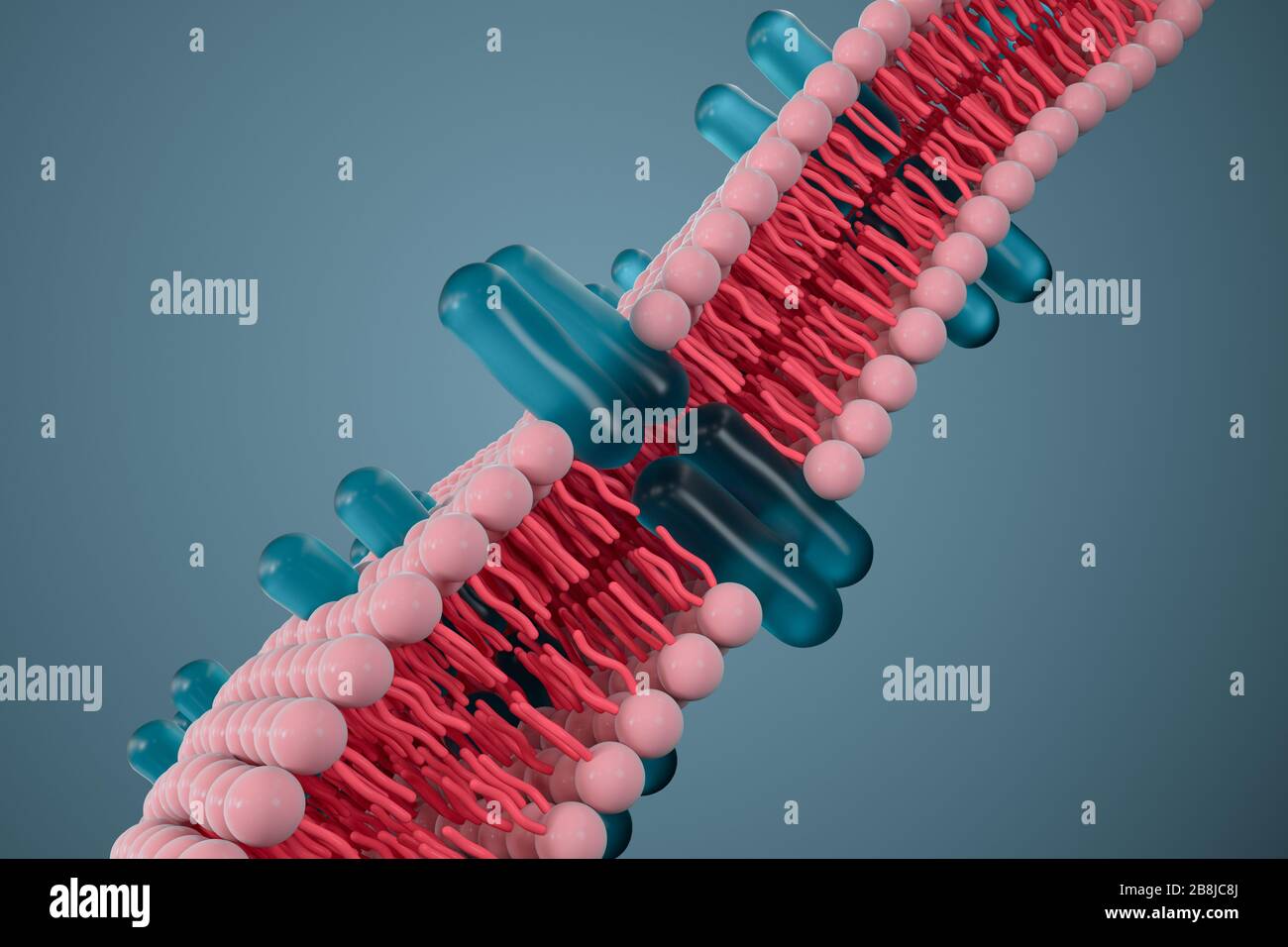 Cell membrane and biology, biological concept, 3d rendering. Computer ...