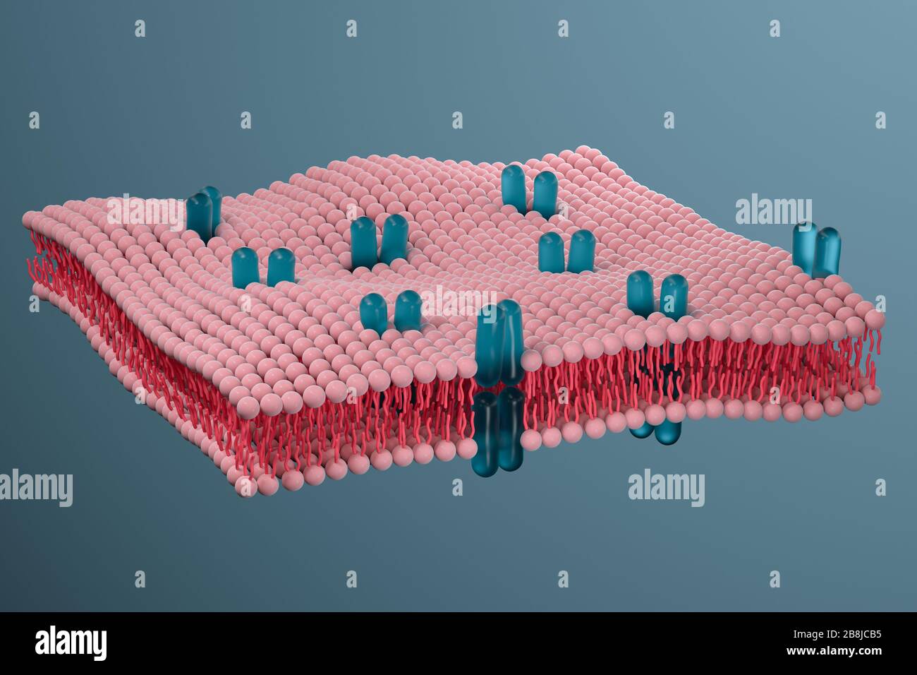 Cell membrane and biology, biological concept, 3d rendering. Computer ...