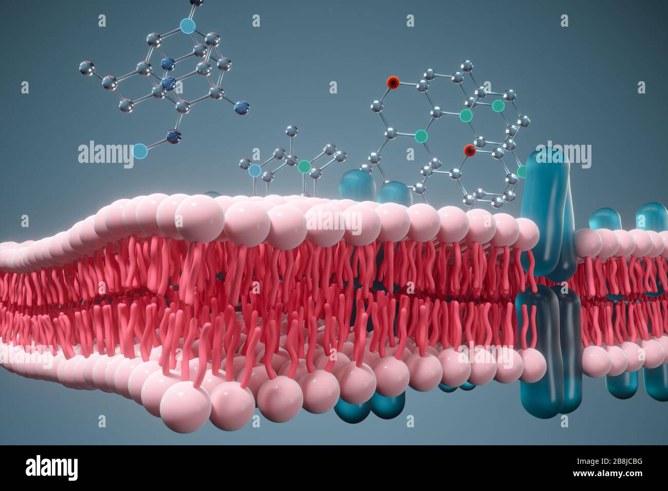 Cell membrane and biology, biological concept, 3d rendering. Computer ...