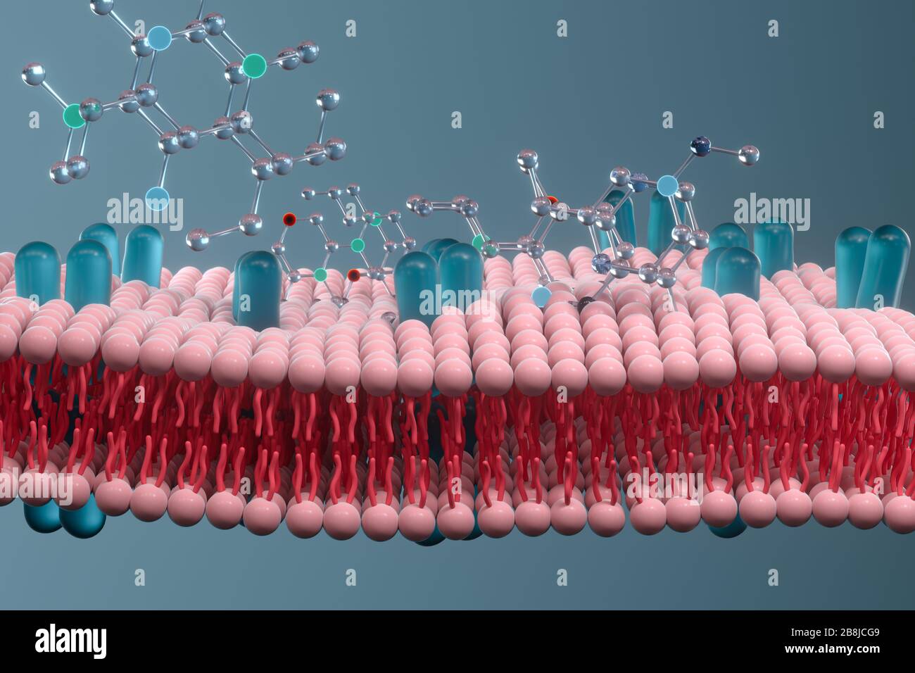 Cell membrane and biology, biological concept, 3d rendering. Computer ...