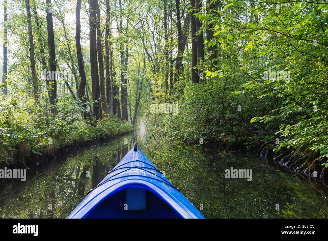 Canoe tour in the Spreewald Stock Photo - Alamy