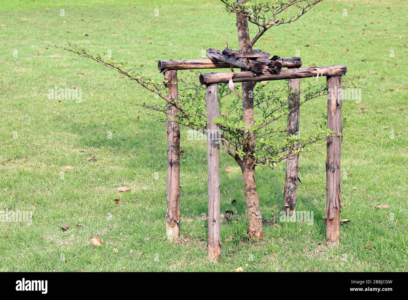 planting trees in garden with pole wood pile frame Stock Photo - Alamy