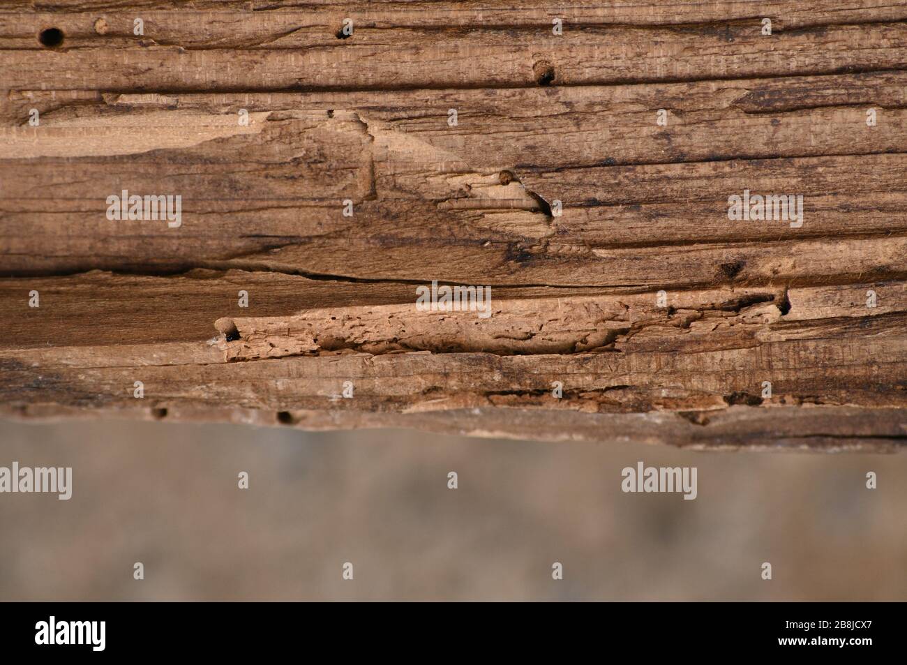 Furnished background with a wooden texture with a non-reflective ...
