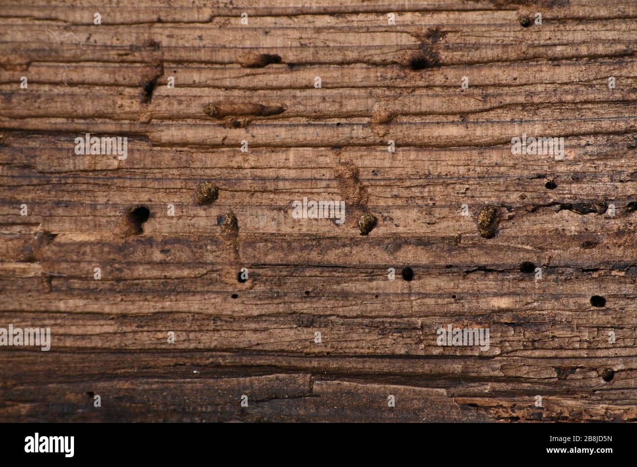 Furnished background with a wooden texture with a non-reflective ...