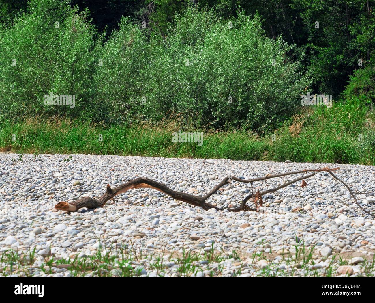 Dried up river bed drought hi-res stock photography and images - Alamy