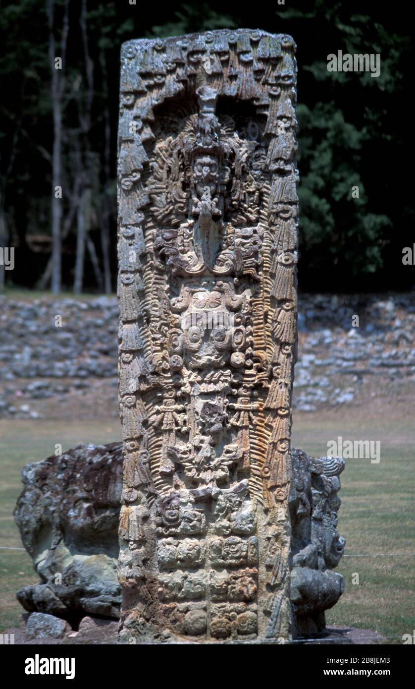 Stela H Back of Stela H at Copan Ruins, an archaeological site of the ...