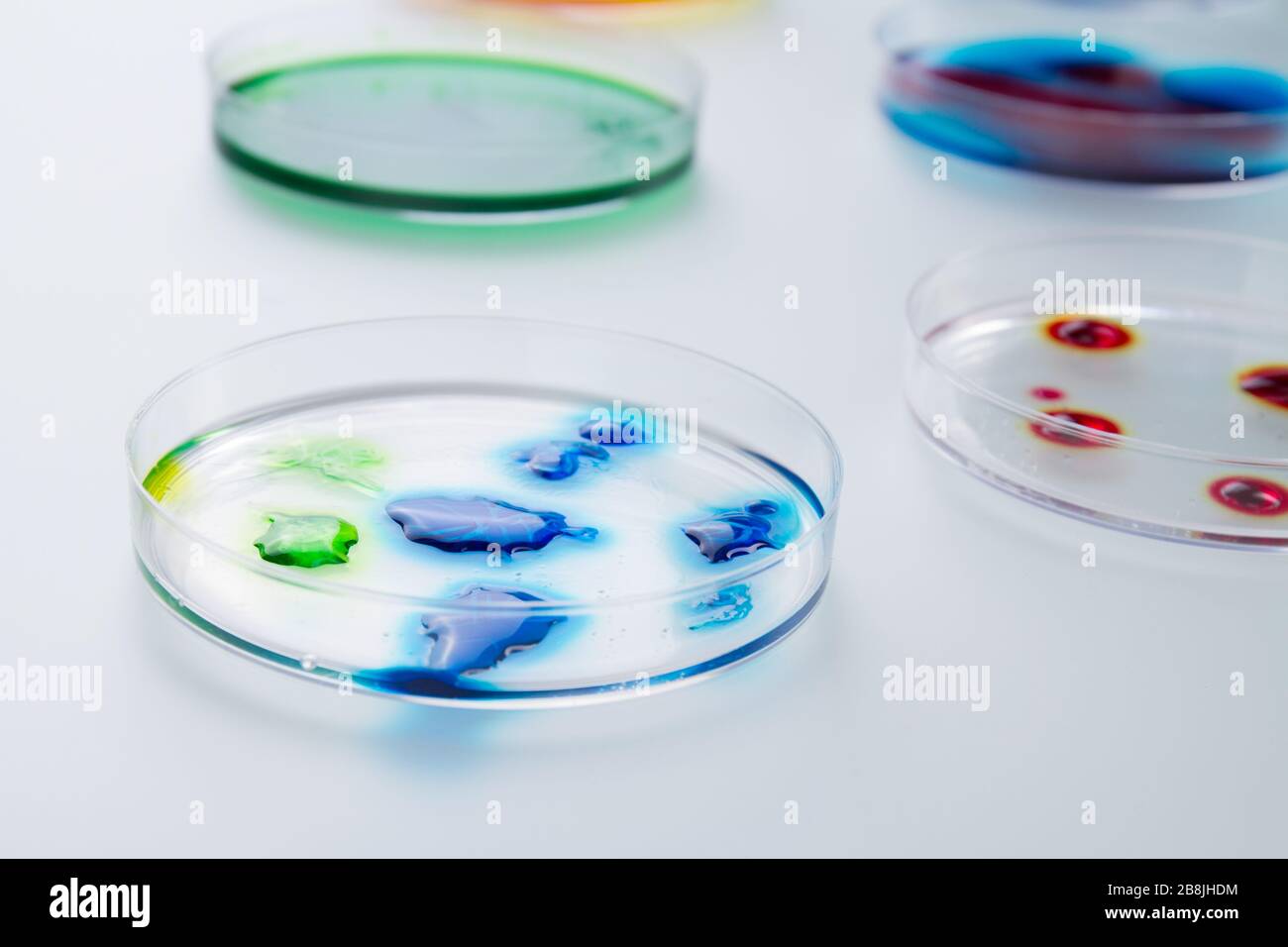 Drops of colorful liquid on petri dishes Stock Photo - Alamy