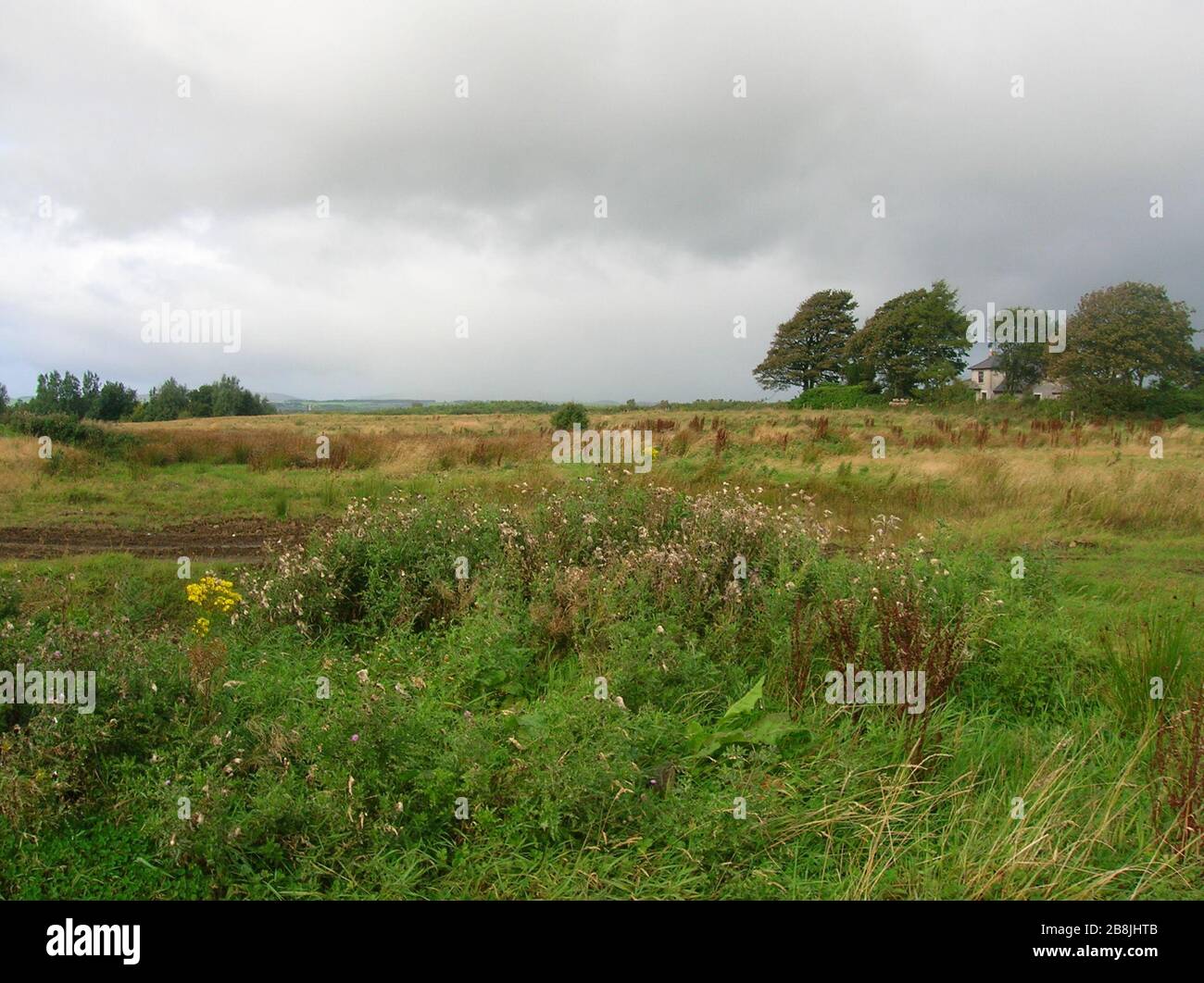Morven scotland hi-res stock photography and images - Alamy